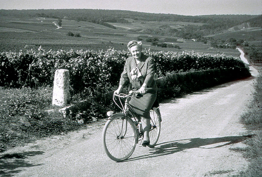Bollinger: il mito dello champagne - Champagne: degustazioni, anteprime ...